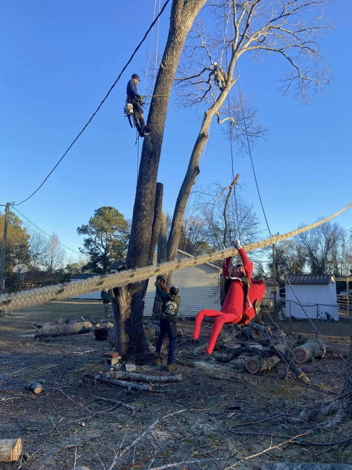 Trusted Tree Care Company in SC. Paz Tree & Stump LLC.